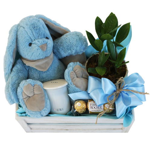 Thumper Blue Gift Hamper Gold Coast - Botanique Florist