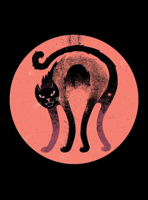 Bad Cat - Multicolor on Heather Black Triblend Womens Dolman T Shirt ...