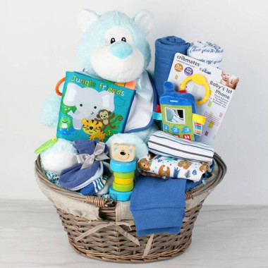 Perfect Baskets for Newborn Baby Boys