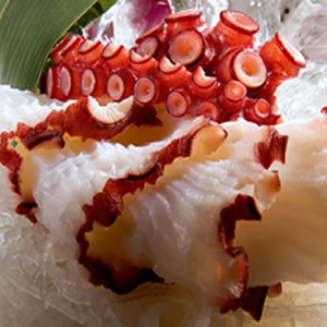 Tako - Canada's No. 1 Online Gourmet Food Store | Le Maitre D & Sommelier