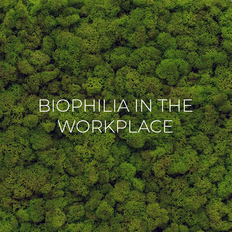 Let Nature In With Biophilia In The Workplace - Think Furniture