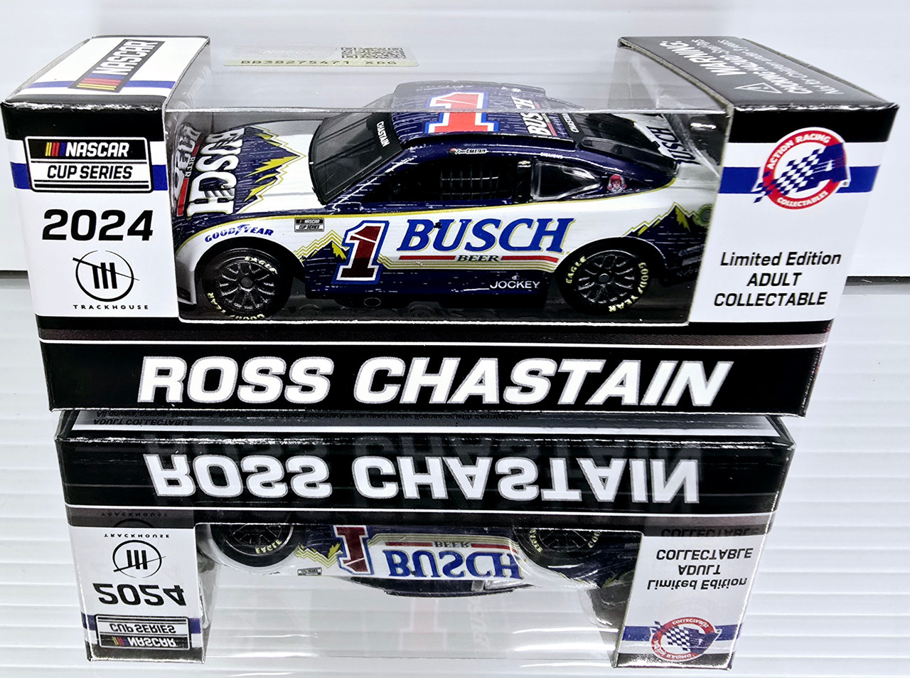 ROSS CHASTAIN 2024 DARLINGTON FALL RETRO BUSCH BEER THROWBACK 1/64 ARC ...