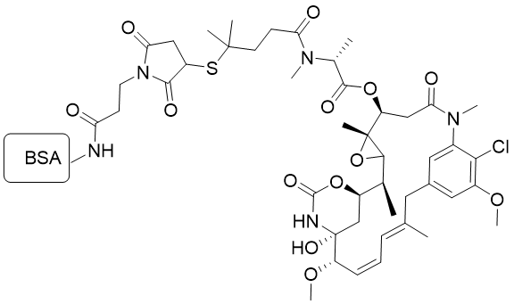 BSA-DM4 (Ravtansine) Conjugate