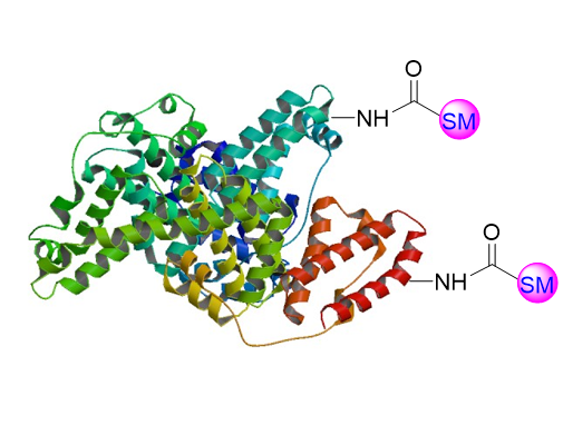 BSA Universal Small Molecule Acid Conjugation Kit