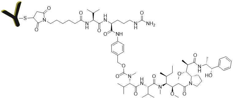 ADC Control hIgG1-MMAE conjugate
