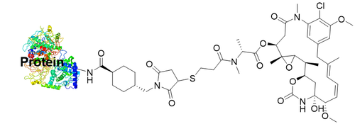 ADC and Other Drug Conjugate (ODC) Solutions - PDC Kits - CellMosaic