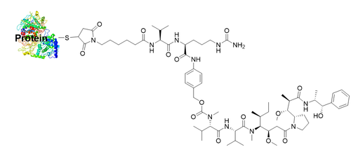 ADC and Other Drug Conjugate (ODC) Solutions - PDC Kits - CellMosaic
