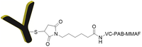 Antibody MMAF Conjugation Kit with VC-PAB Linker