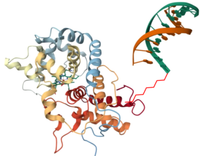 HRP-Oligo Conjugation kit