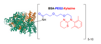 BSA-PEG2-Xylazine Conjugate