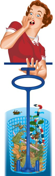 The Skimmer Angel - Pool Supply Mall