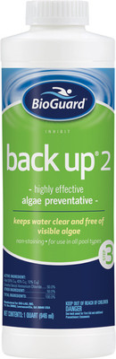 BioGuard Back Up 2 Algaecide 32 oz - Pool Supply Mall