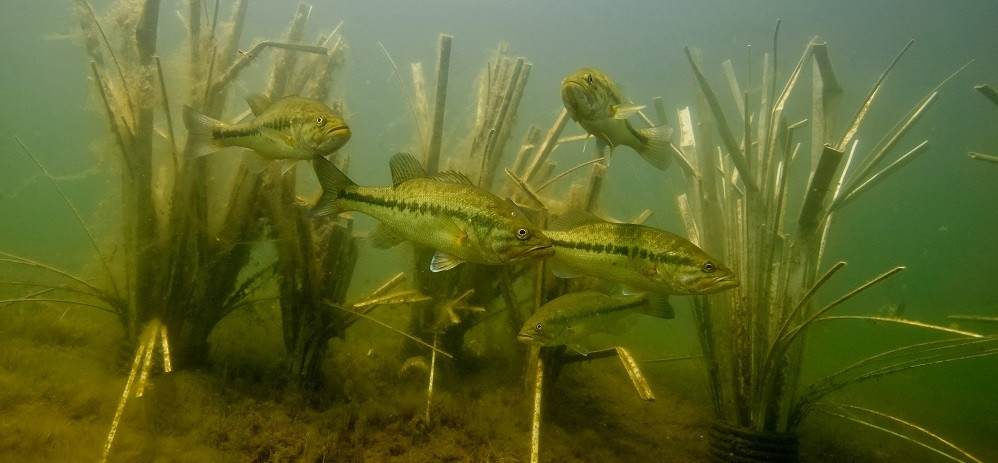 Fish Hiding Structures - Fishiding Reclaimed Artificial Fish Habitat
