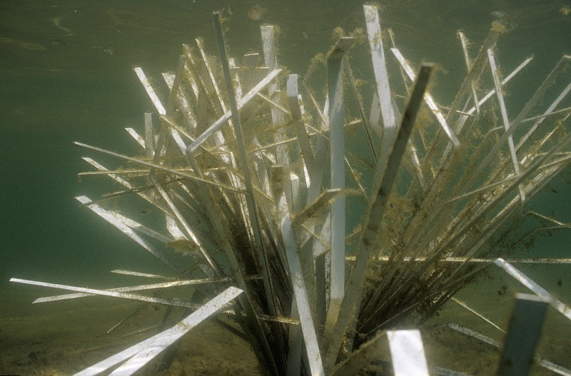 PVC Fish Habitat Structure - Fine PVC For DIY Fish Cribs | Fishiding