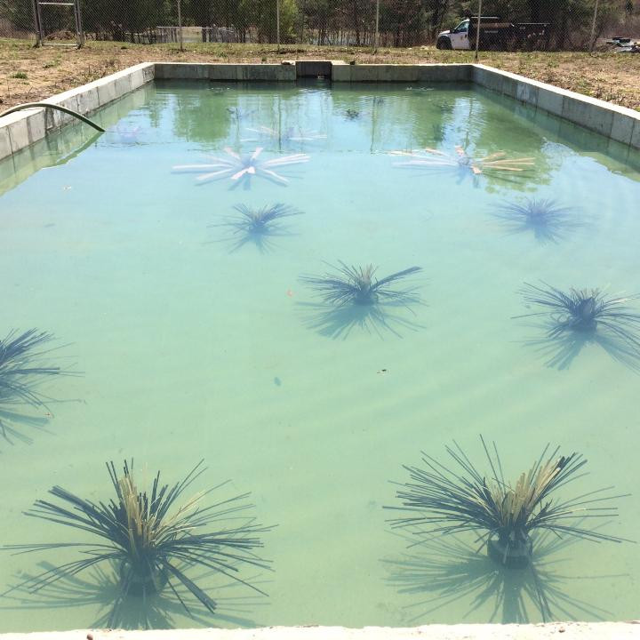 Ultra Fine Cradle Shallow Fish Habitat Structures - Fishiding