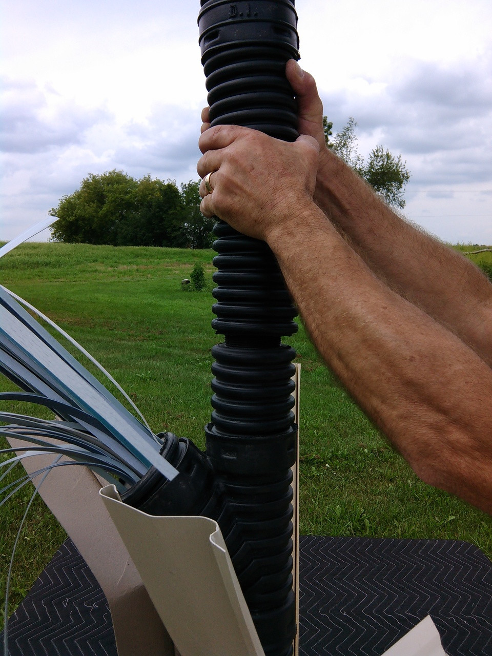 Fifteen Foot Fish Tree with Vertical Uprise - Fishiding