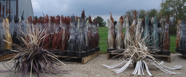 Fish Hiding Structures - Fishiding Reclaimed Artificial Fish Habitat