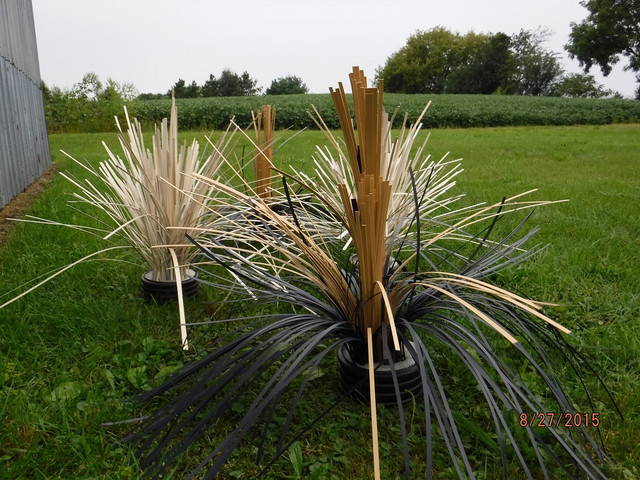 Artificial Fish Habitat