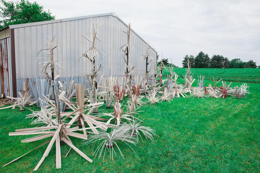 The Importance of a Fish Habitat - Fishiding Reclaimed Artificial Fish ...