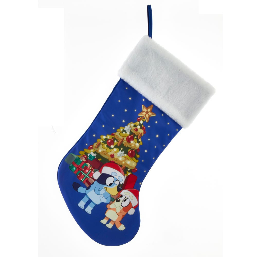 Bluey™ and Bingo Stocking