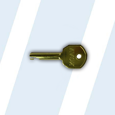 Monarch NOVA Lock KEY only - 123 Laundry Solutions