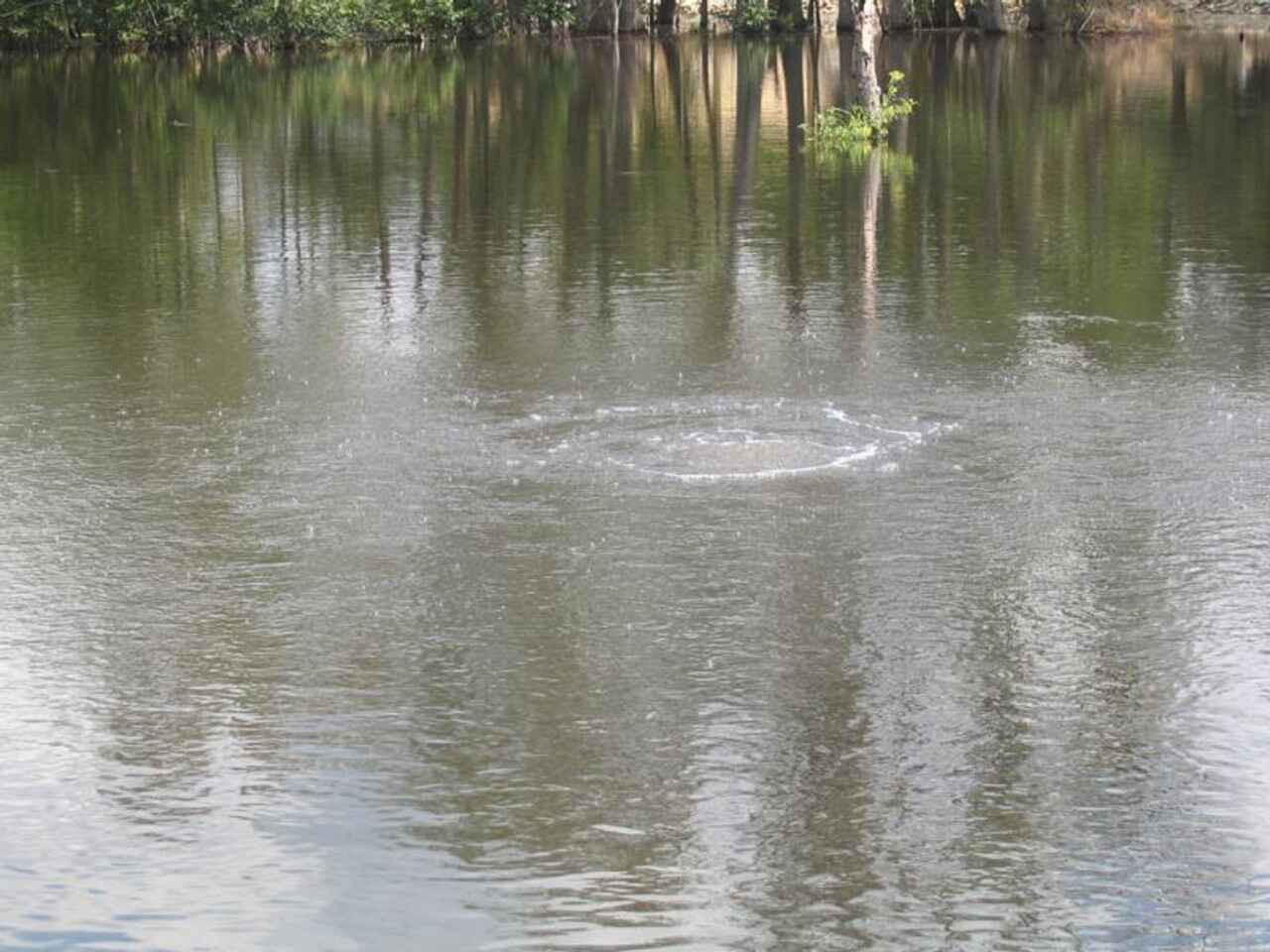 Can-Air EPDM Vortex Pond Diffuser