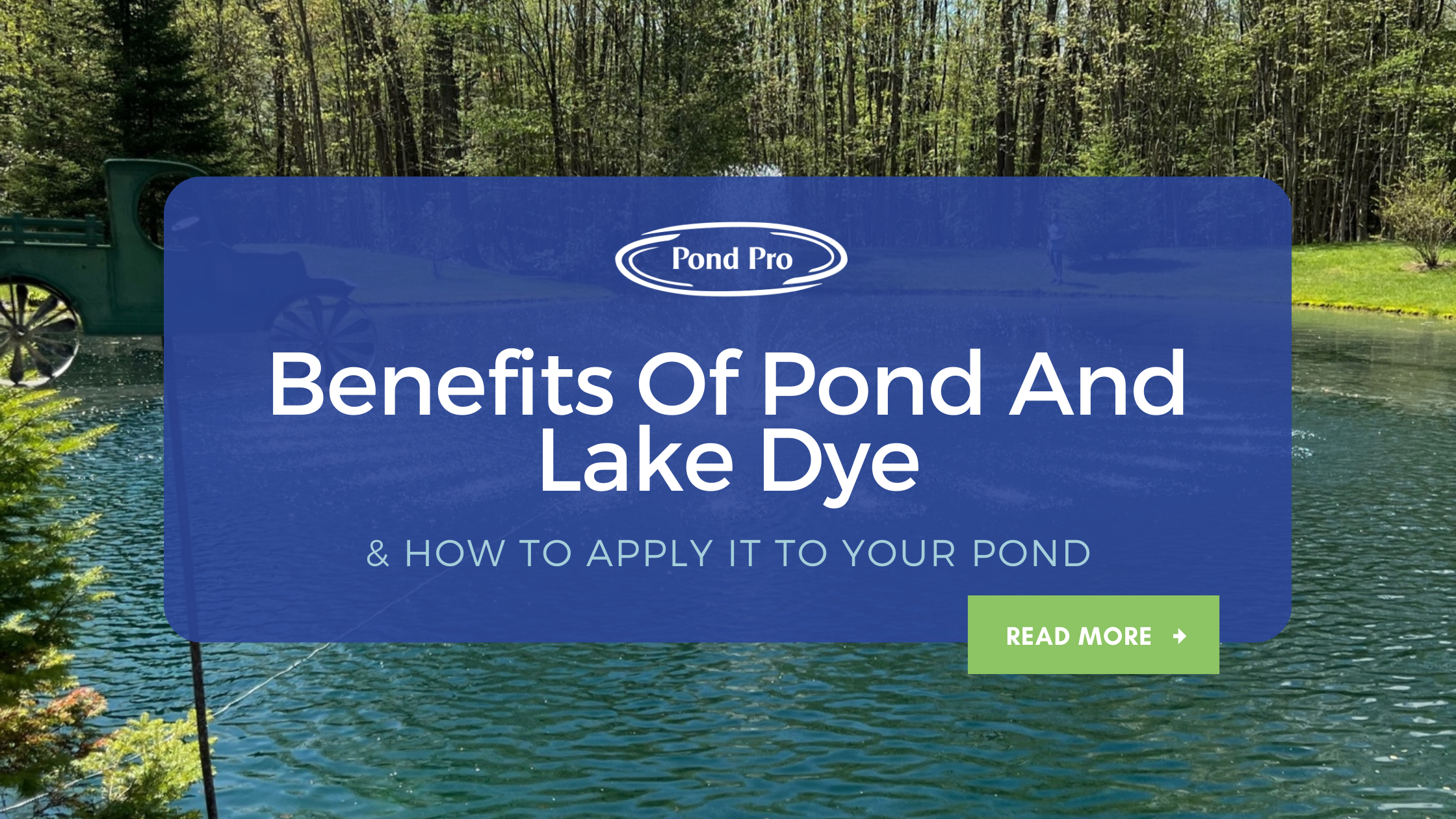 Benefits of Pond and Lake Dye and How to Apply it to your Pond? - Pond ...