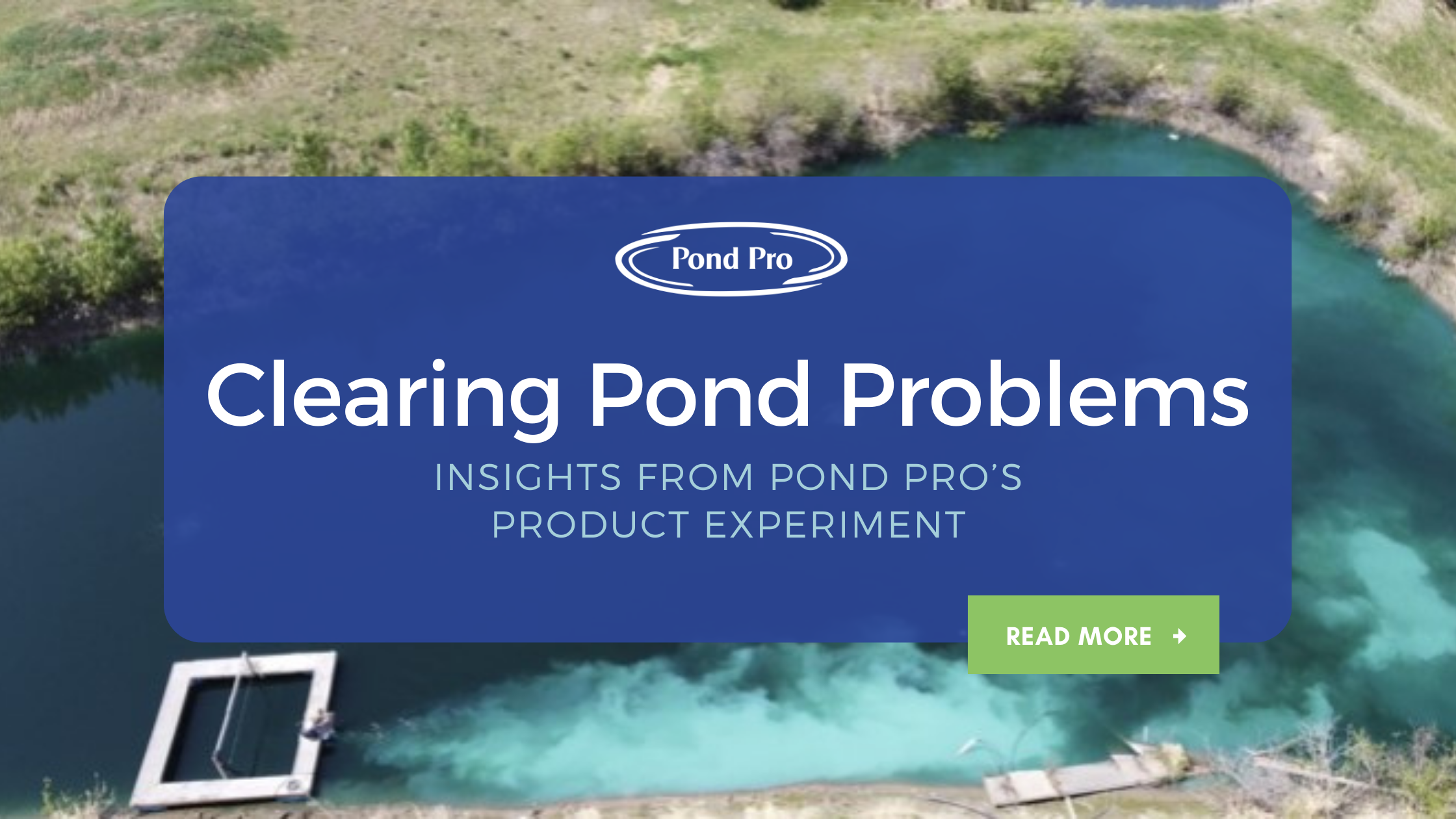 Clearing Pond Problems: Insights from Pond Pro's Product Experiment ...