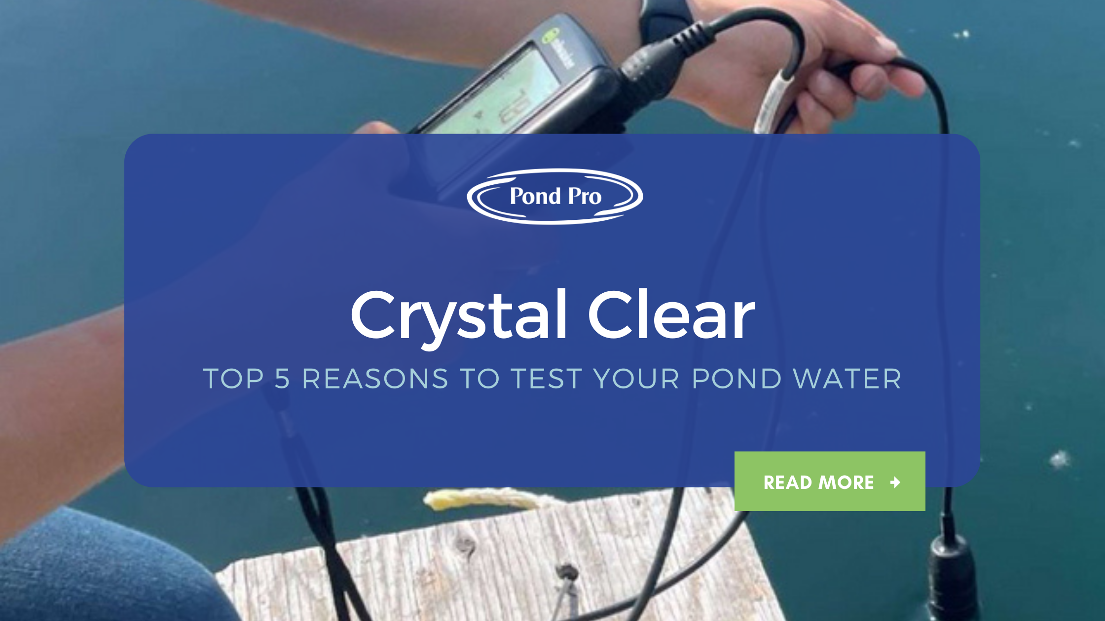 Crystal Clear: Top 5 Reason to Test your Pond Water - Pond Pro Canada