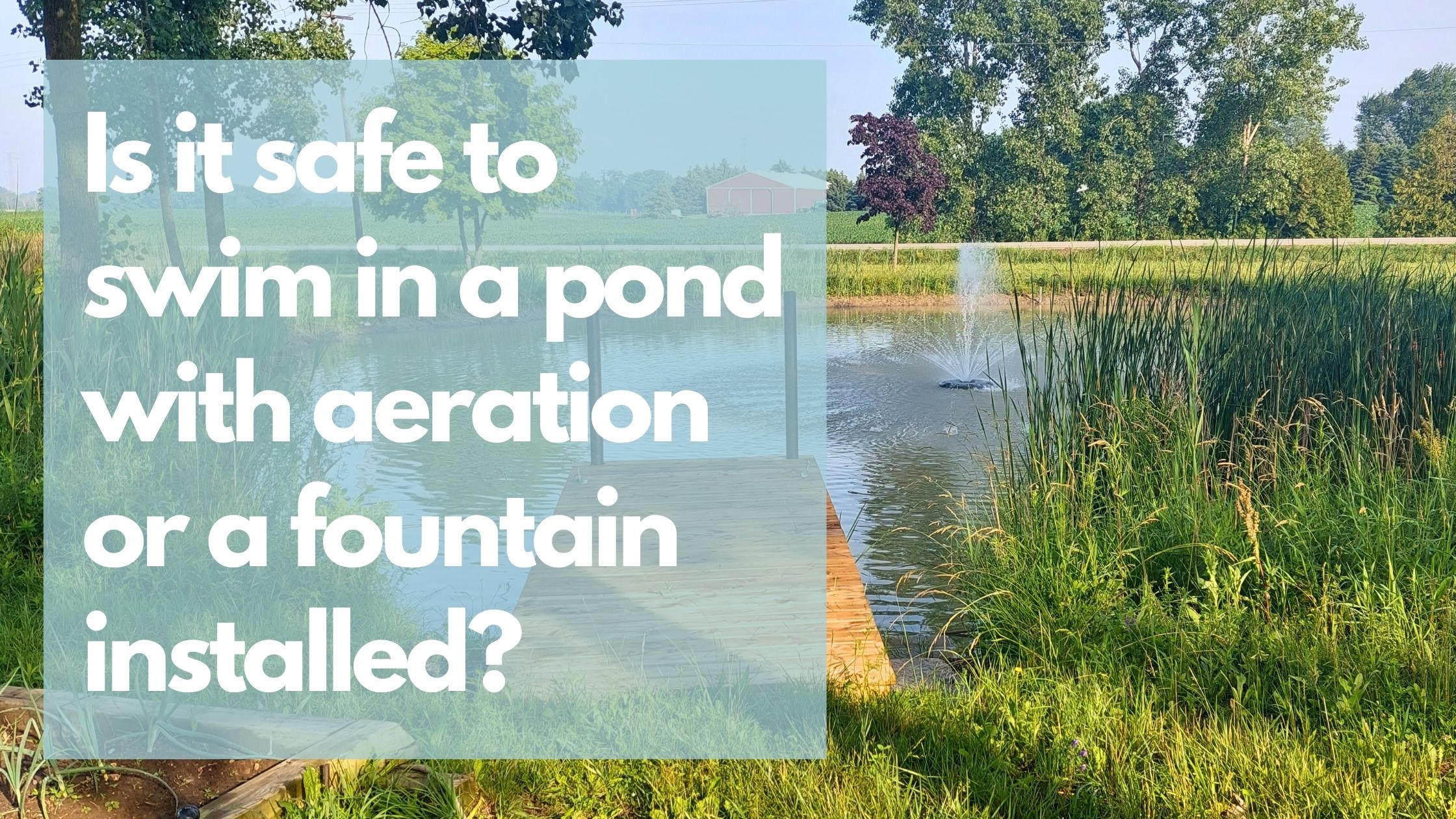 Is it safe to swim in a pond with aeration or a fountain installed ...