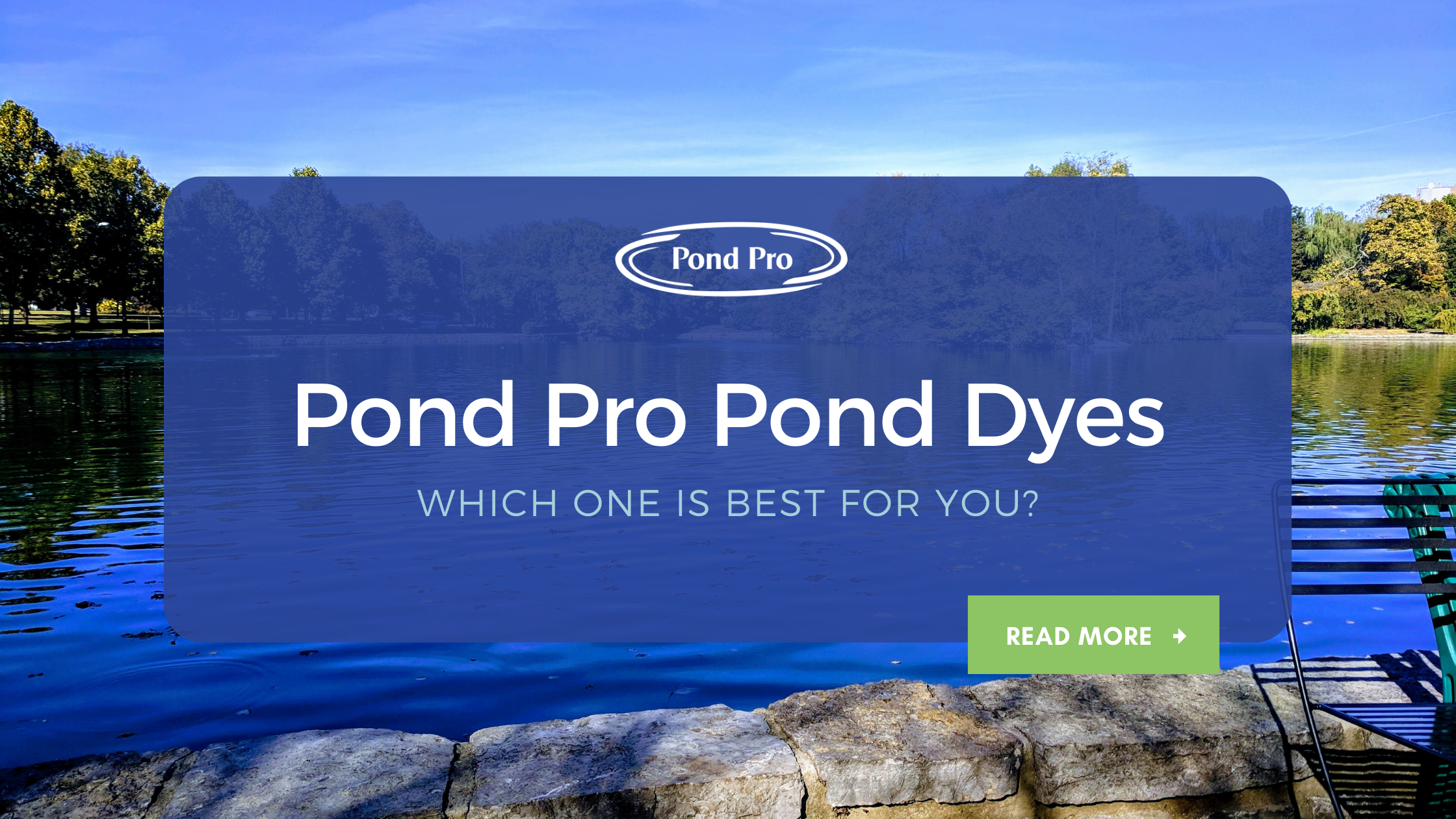 Pond Pro Pond Dyes: Which One is Best For You? - Pond Pro Canada