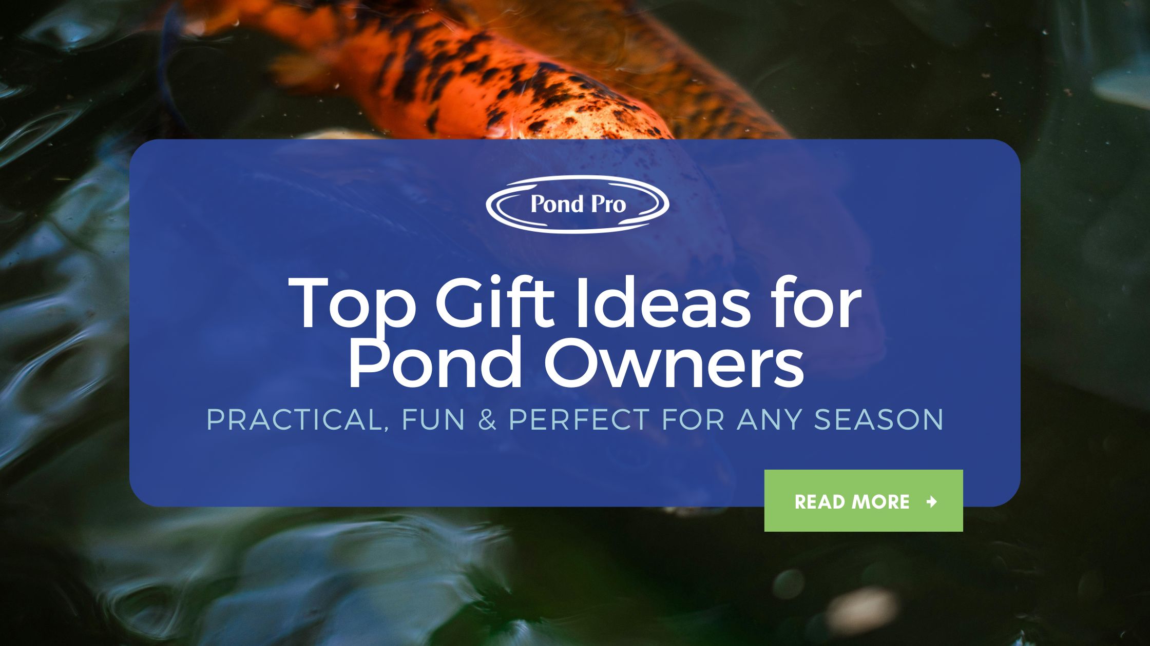 Top Gift Ideas for Pond Owners: Practical, Fun & Perfect for Any Season ...