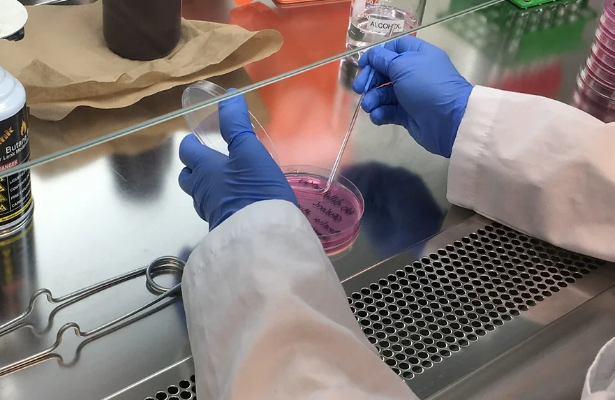 Pond Pro Water Testing Services - Pond Pro Canada