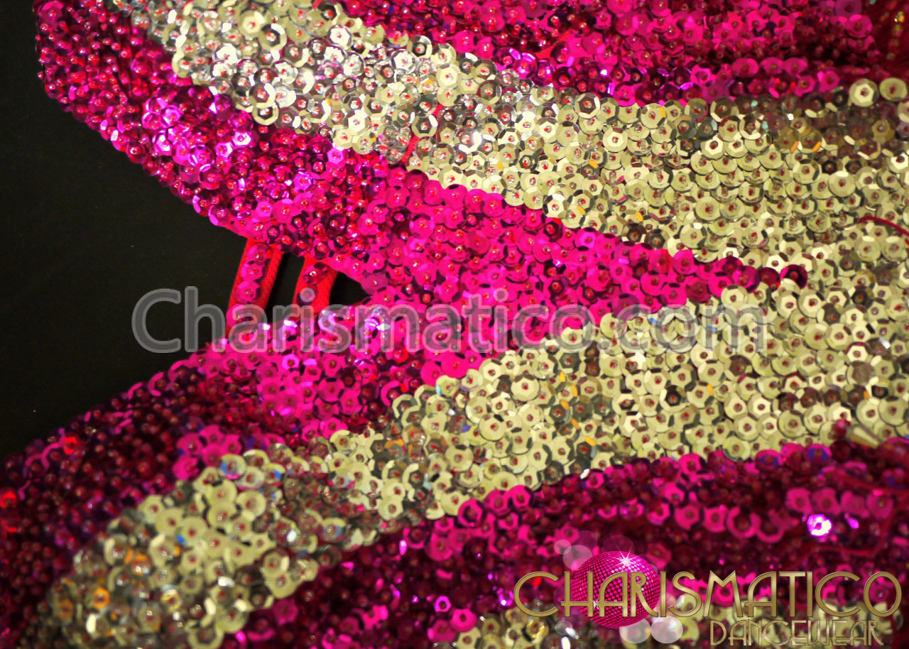 Fuchsia And Silver Striped Sequin Salsa Dress With Fringe Skirt