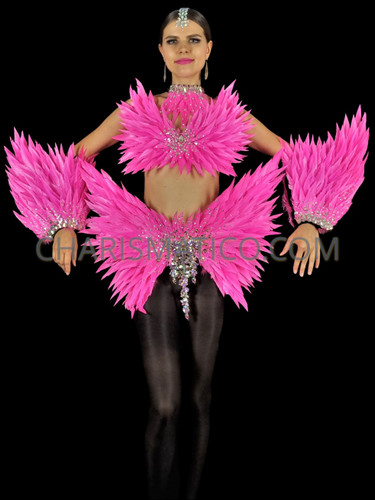Warrior Crystallized Feather Bra And Belt With Matching Arm Pieces