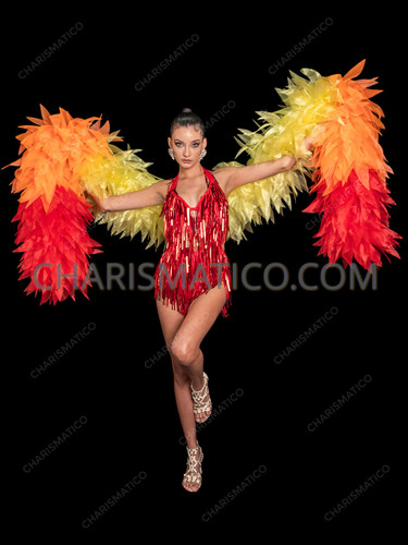 Fire Phoenix Gradient Showgirl Organza Leaf Boa