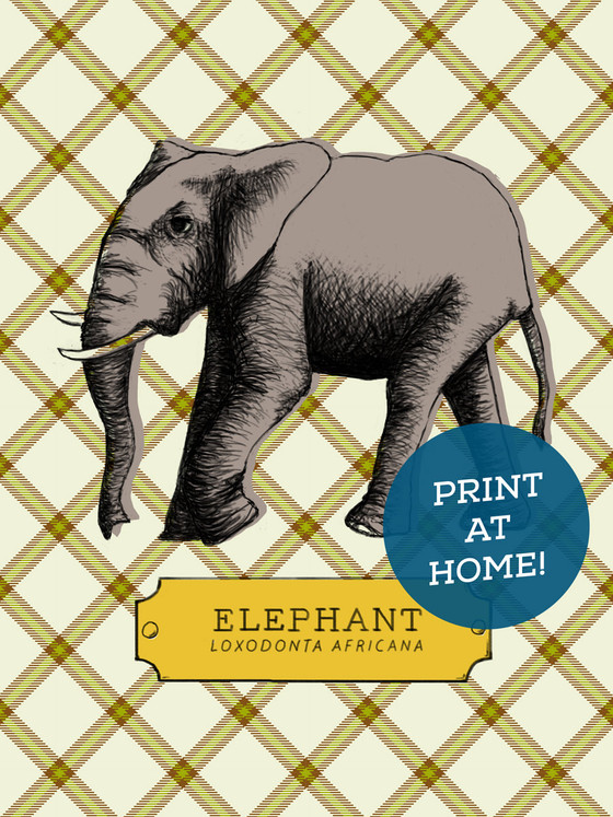 Illustrated Elephant Printable - Earmark Social Goods Inc.
