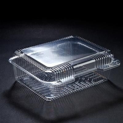 Rectangular CLEAR PLASTIC HINGED CONTAINER - 8'' x 5.75''x2.5'' (500 ...