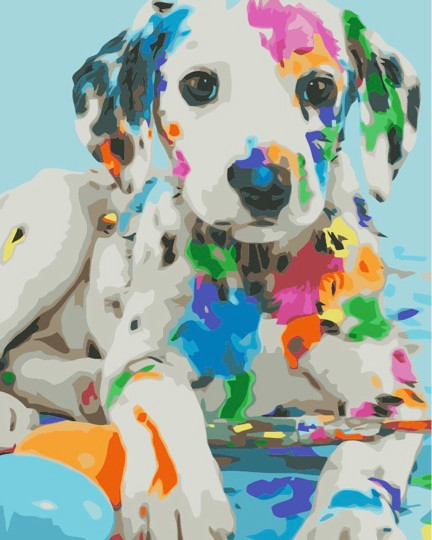 Paint by Numbers 40x50cm - Colourful Dalmatians