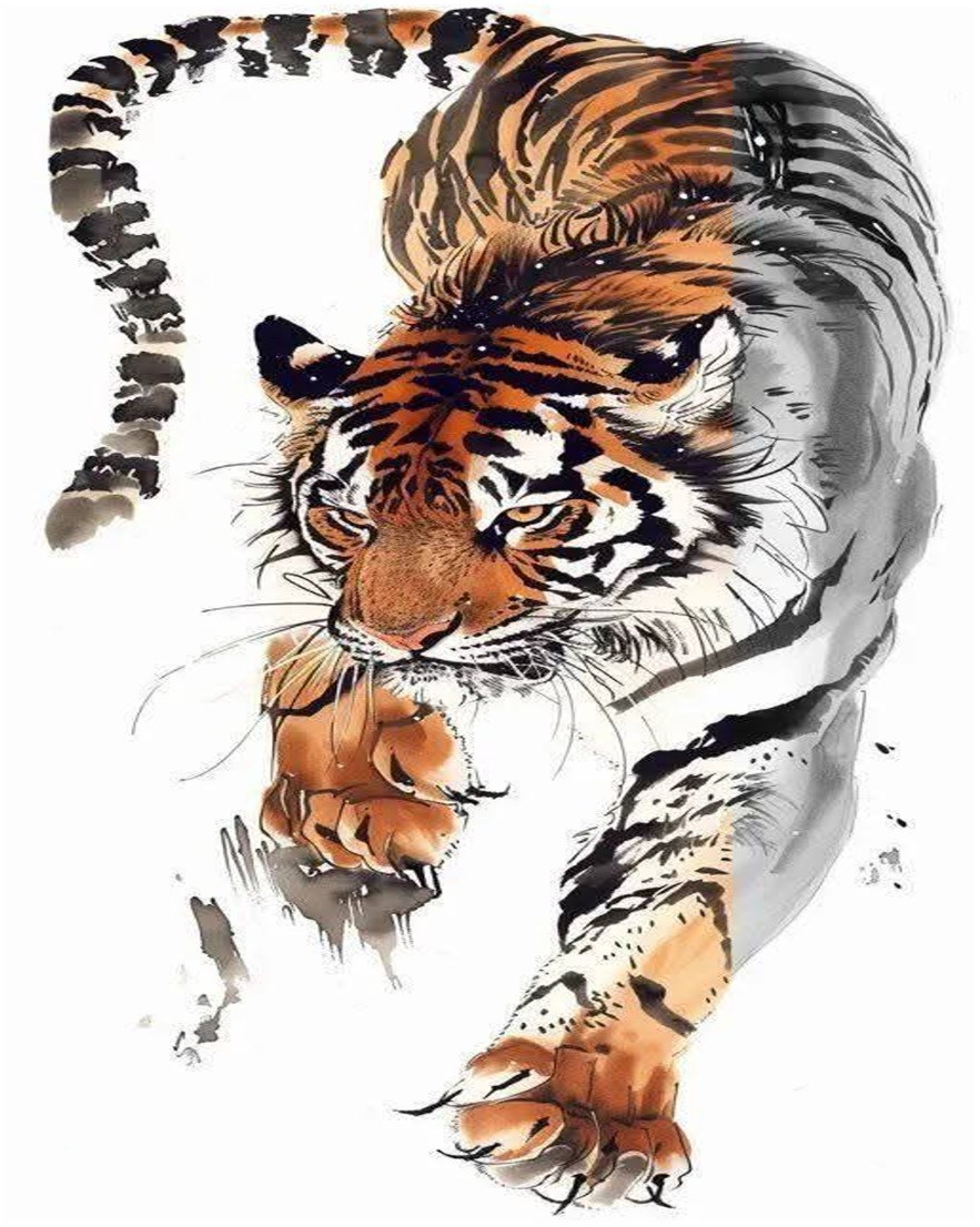 Paint by Numbers - 40x50cm - Made to Order - Tiger Fury 2