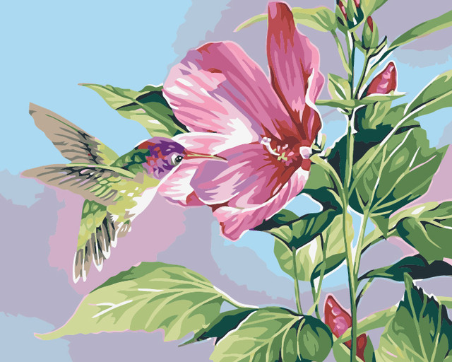 Paint by Numbers 40x50cm - Hummingbird