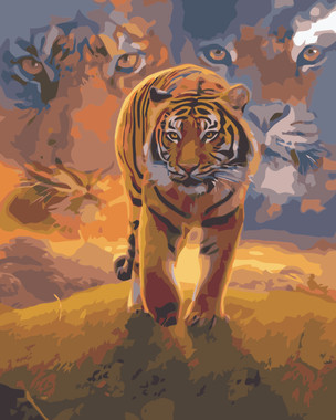 Paint by Numbers 40x50cm - Tigers