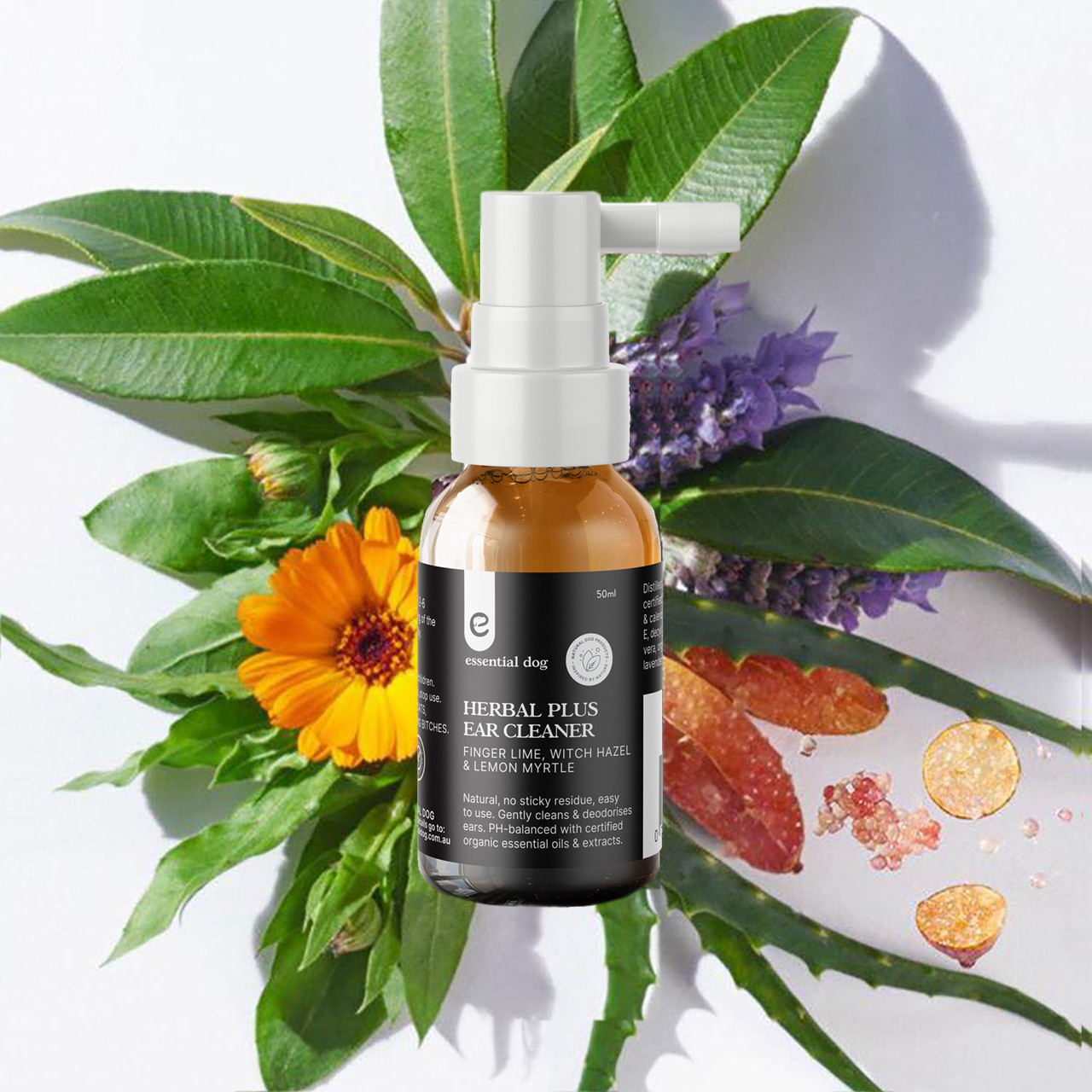 Natural Herbal Dog Ear Cleaner Australia for ear infections