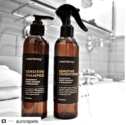 Aurora Pets Interview with Essential Dog Shampoo - Essential Dog