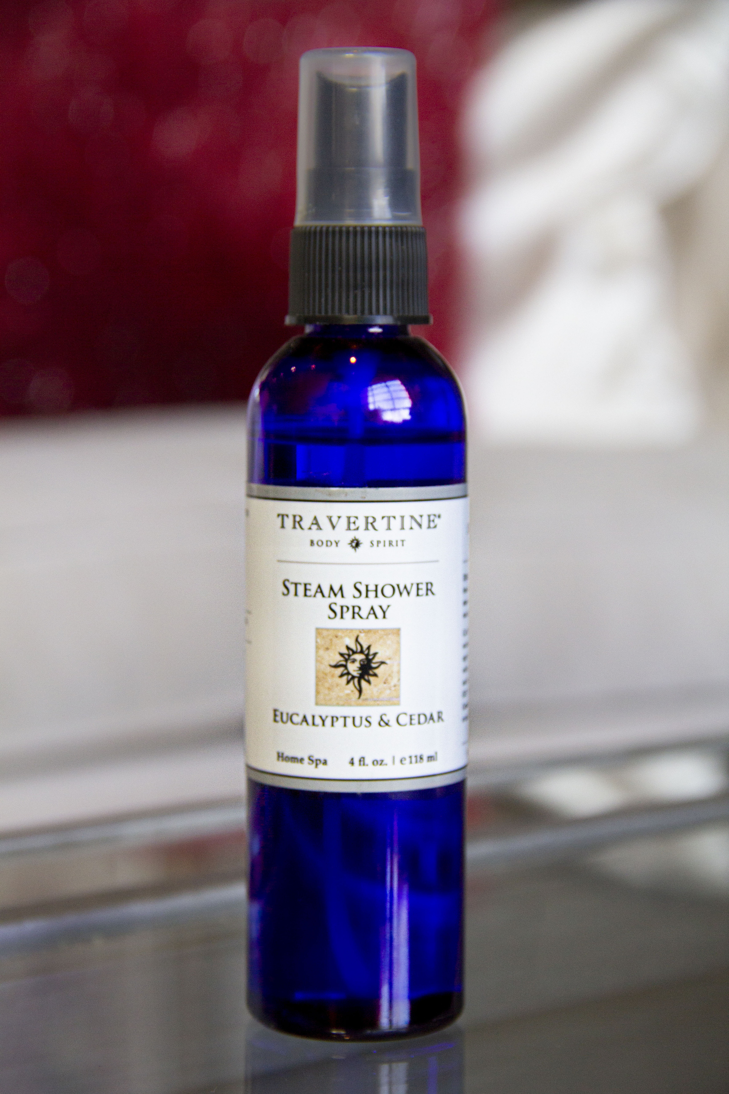 Eucalyptus Steam Shower Spray (4oz) | Travertine Body And Spirit