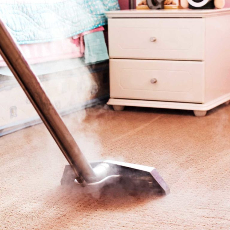 What to Know About Steam Cleaners - Vapor Clean