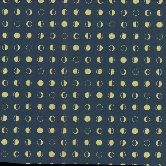 navy dot wallpaper