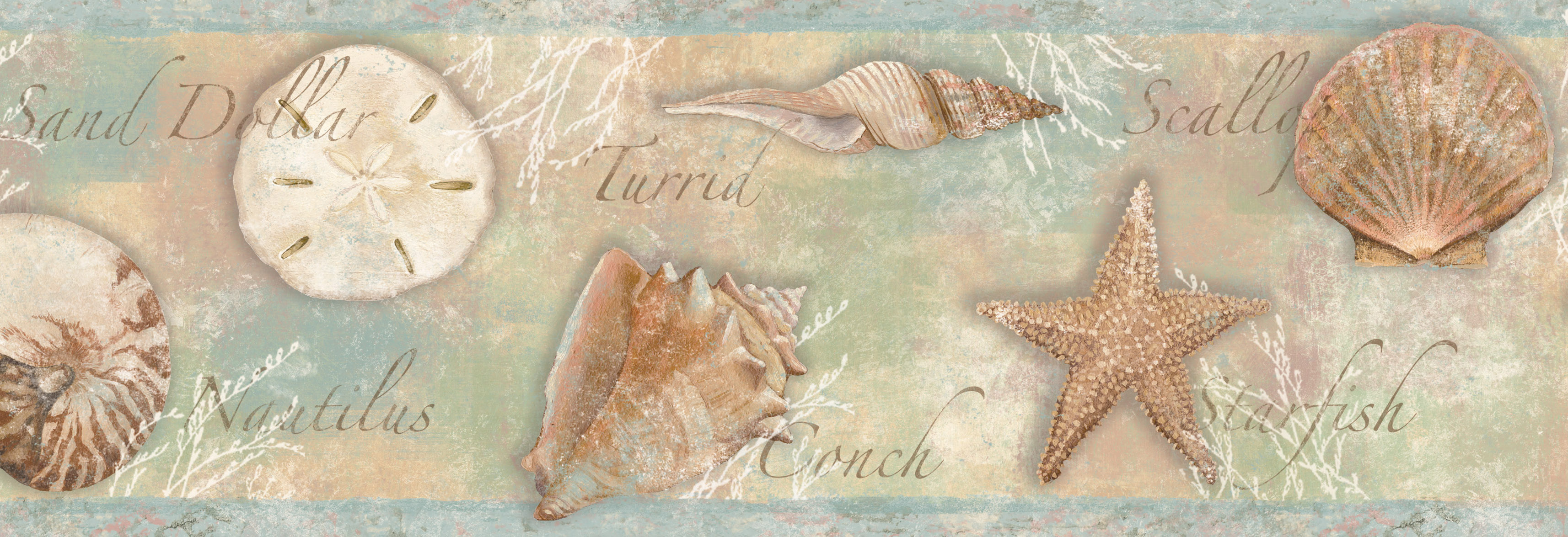 seashell border paper