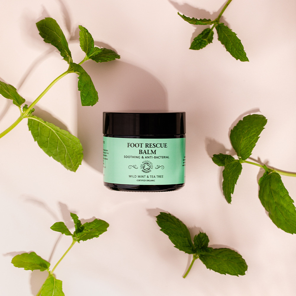 Transform Your Feet with Botanicals Organic & Natural Foot Balm | Shea ...
