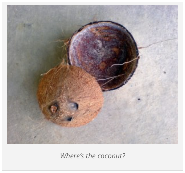 When is a coconut, not a coconut?! - Botanicals